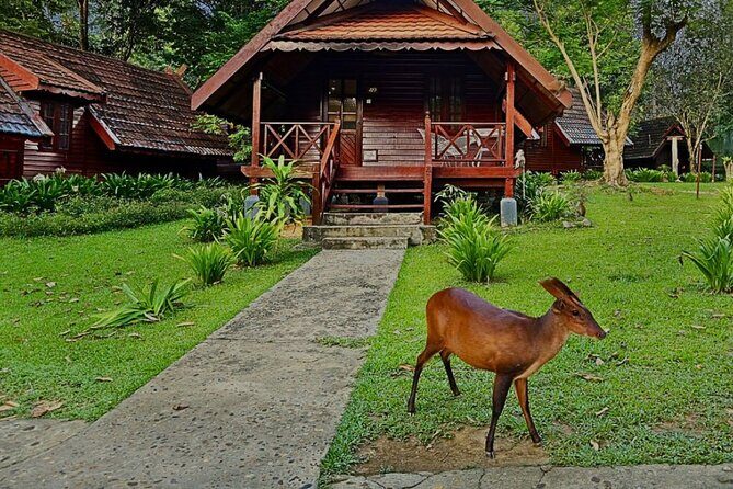 2D1N Taman Negara Rainforest Tour and Boat Ride - How the Tour Starts: From Kuala Lumpur to the Rainforest