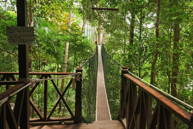 2D1N Taman Negara Rainforest Tour and Boat Ride - Jungle Canopy Walk and Trekking: Seeing the Forest from Above and Below