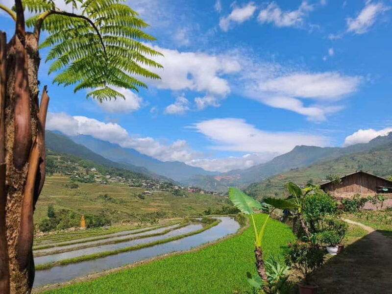 2D1N Trek: Ta Van & Lao Chai Rice Terrace Trails - Key Points