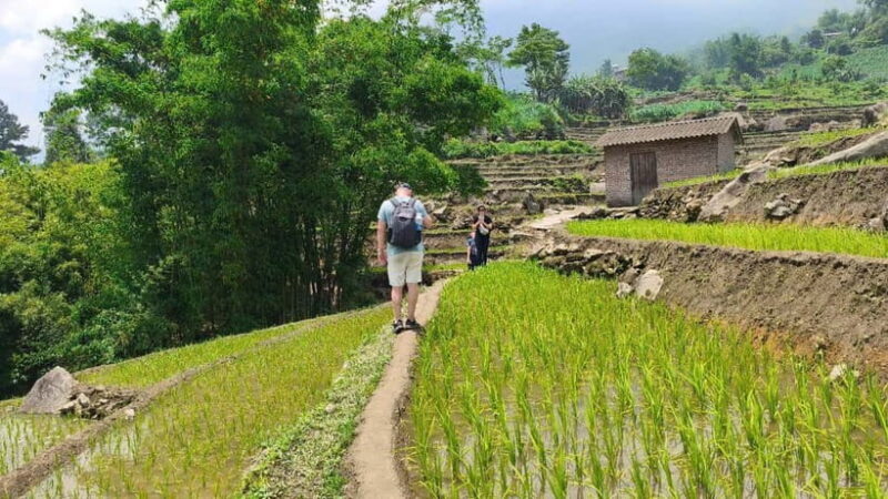 2D1N Trek: Ta Van & Lao Chai Rice Terrace Trails - An In-Depth Look at the Trekking Experience