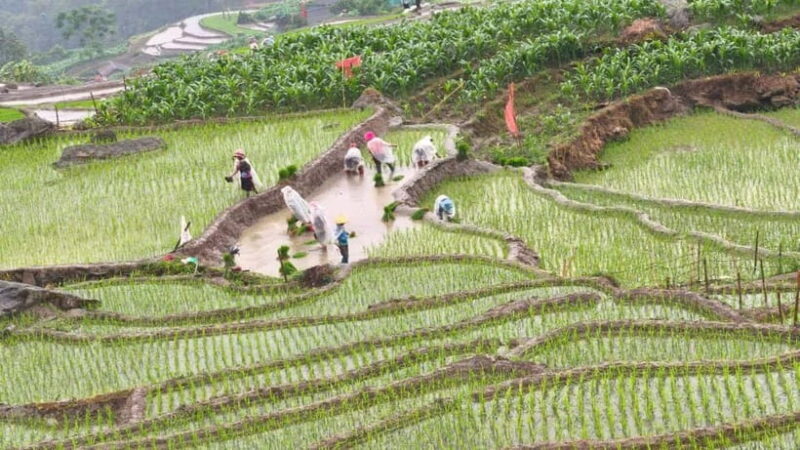 2D1N Trek: Ta Van & Lao Chai Rice Terrace Trails - Final Thoughts