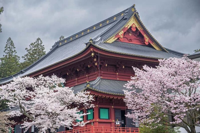 2Day Private Tokyo & Nikko Tour Luxury Vehicle, Hotel Return - Who Will Love This Tour?