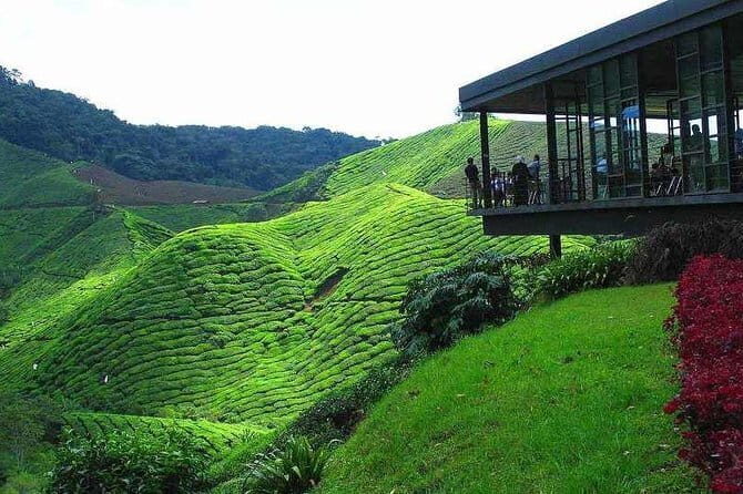 2Days 1Night Cameron Highland and Penang Island Private Tour from Kuala Lumpur - Discover Malaysia’s Best in Two Days: Cameron Highlands & Penang Island Private Tour