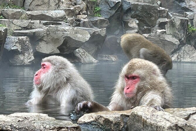 2Days 1Night Private Tour, Tokyo~Nagano~Nagoya, 2-10 guests - FAQ