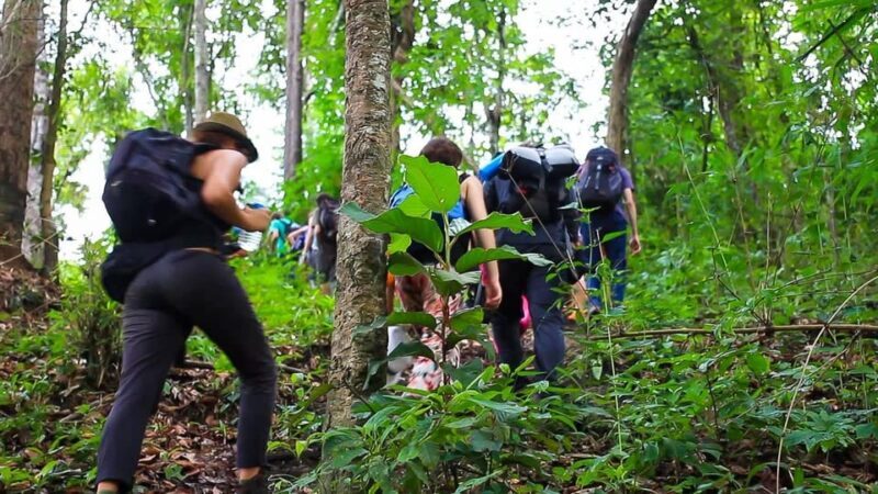 2days 1night : Trekking with Karen people and Doi Inthanon - Authenticity and Insights from Past Travelers