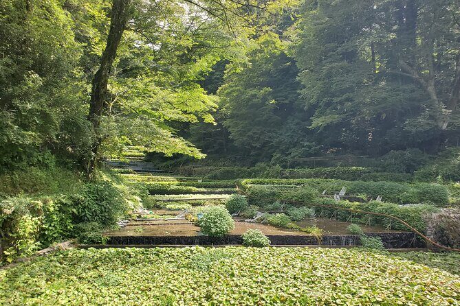 2days Gourmet Journey in Naka-Izu :Wasabi, Wine, Tea & Glamping - Final Thoughts