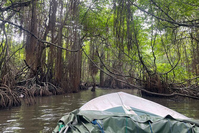 2h Bentota River Safari from Hotels in Ahungalla/Bentota/Induruwa - What to Expect on the Tour