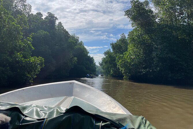 2h Bentota River Safari from Hotels in Ahungalla/Bentota/Induruwa - The Experience Beyond the Tour