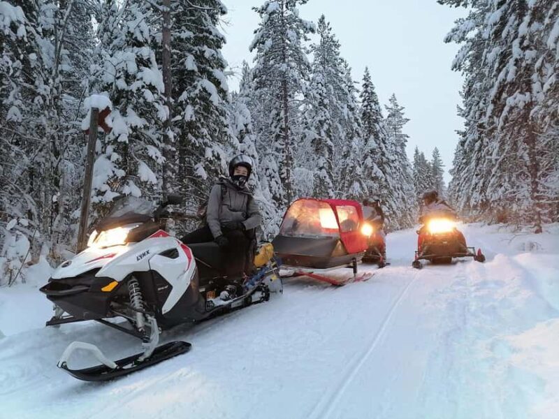 2h private snowmobile experience in Rovaniemi's forest - Why This Tour Could Be a Great Choice