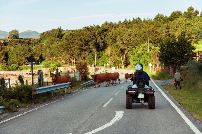 2h Quad Tour  Arcos de Valdevez  Peneda Gerês - Final Thoughts: Who Will Love This?