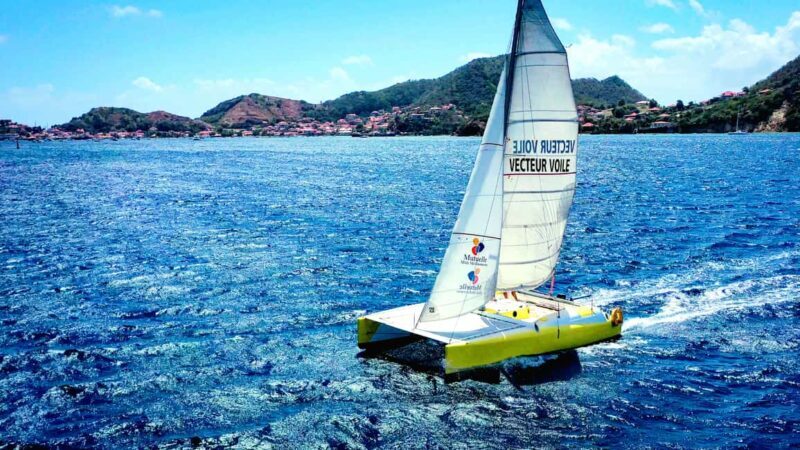 2h Sailing catamaran in La Baie des Saintes - Key Points