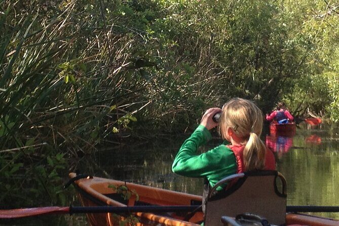 2Hour Everglades Kayak Safari Adventure Through Mangrove Tunnels - Exploring the 2-Hour Everglades Kayak Safari Adventure Through Mangrove Tunnels