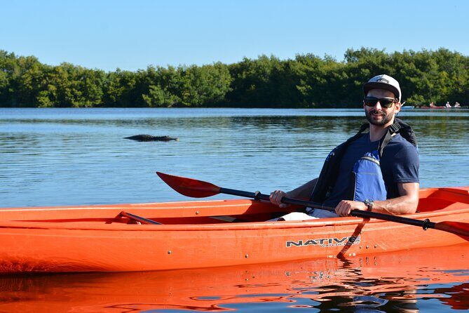 2Hour Everglades Kayak Safari Adventure Through Mangrove Tunnels - An In-Depth Look at the Experience