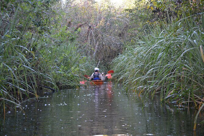 2Hour Everglades Kayak Safari Adventure Through Mangrove Tunnels - FAQ