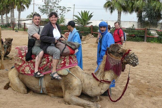 2Hours DE Quad + Comedy EN Tour and Crocoparc Tour - Transportation, Group Size, and Practicalities