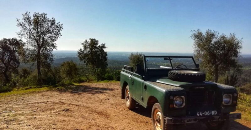 2hr Cork Safari in a Classical Land Rover - What You Can Expect from This Cork Safari