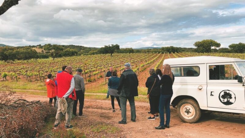 2hr Cork Safari in a Classical Land Rover - Practical Details & Value
