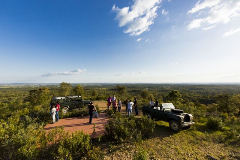 2hr Cork Safari in a Classical Land Rover - Who Will Love This Tour?
