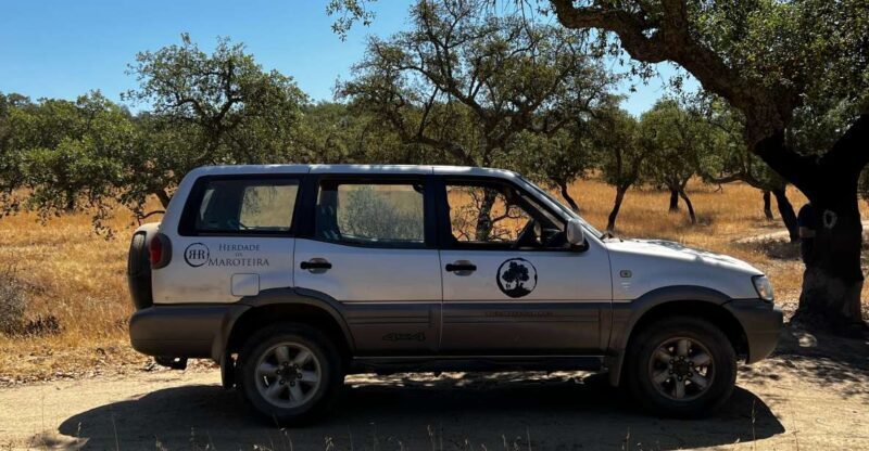 2hr Cork Tour in a Jeep - Key Points
