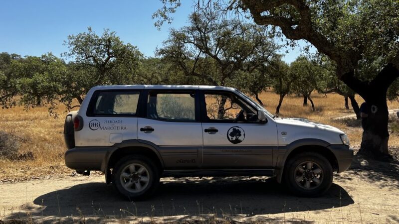 2hr Cork Tour in a Jeep - Who Will Love This Tour?