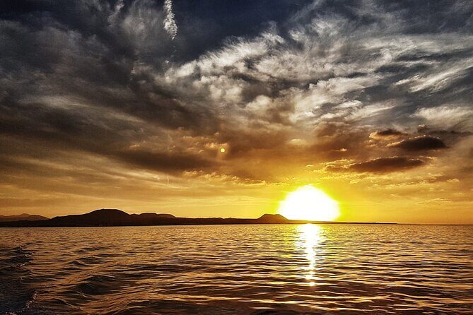 2hrs Dolphins Sunset Sailing Cruise With Drink - Authentic Reviews: What Travelers Say