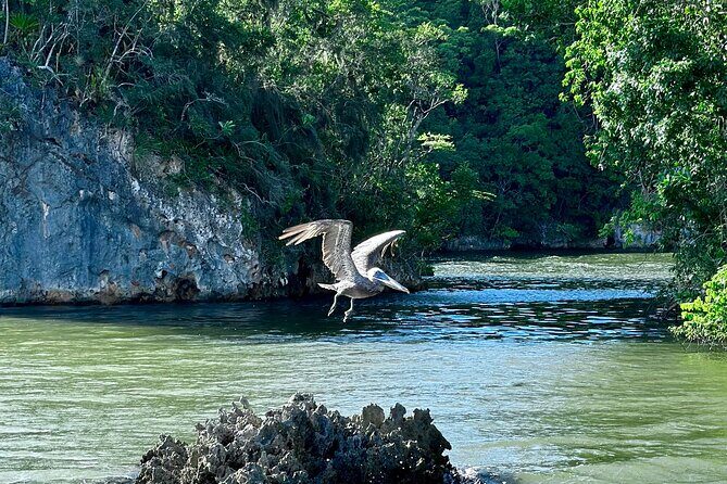 2in1: Los Haitises National Park + Yanigua Waterfall-SPA - FAQ