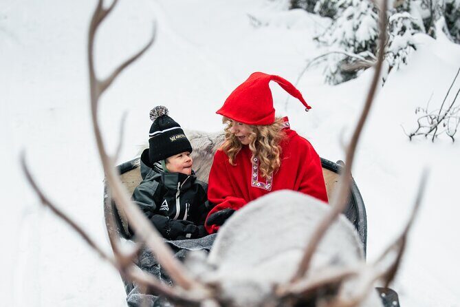 2km Sleigh Ride & Feeding Experience at Traditional Reindeer Farm - The Sum Up: Is It Worth It?