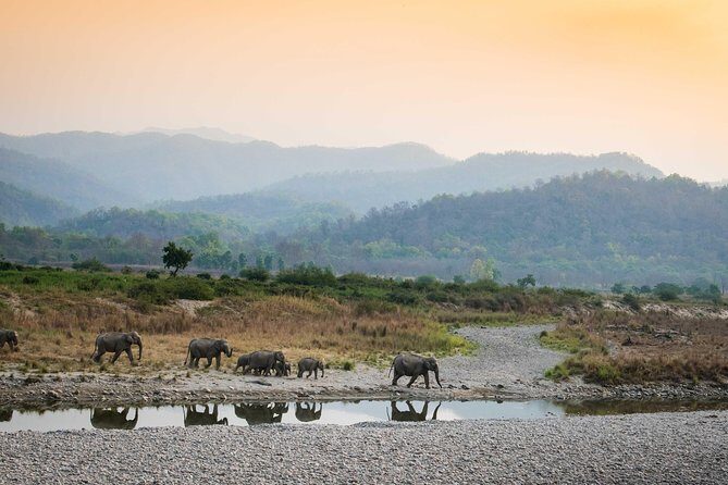2N Jim Corbett National Park (Dhikala Zone) - Exploring Jim Corbett National Park’s Dhikala Zone: A Balanced Review