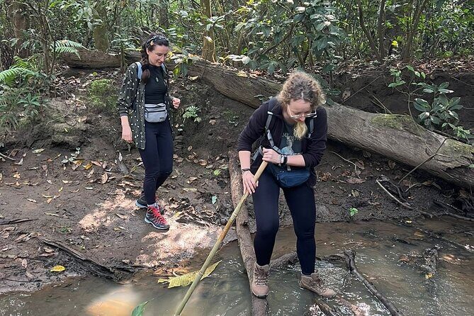 2Night 3Day Chitwan Jungle Tower Night Stay and CNP Nepal Safari - Deep Dive into the Tour Components