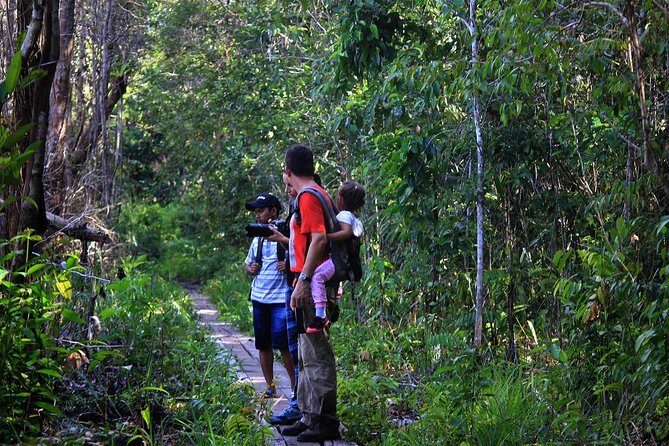 2Ns Experience Kelotok River Cruise in Orangutan's Homeland - Introduction: Introducing the Kelotok River Cruise Experience