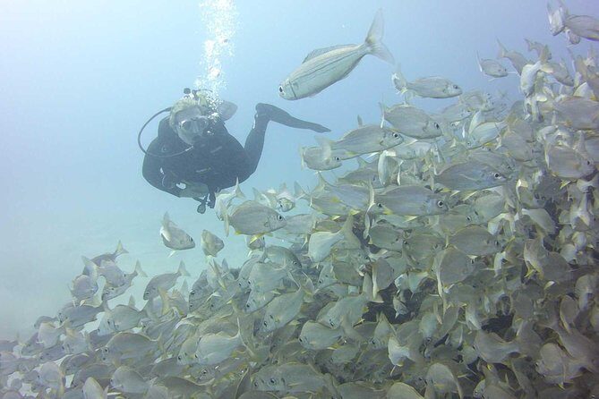 2x diving package, on request including refreshment - Introduction: Why Consider This Diving Experience?