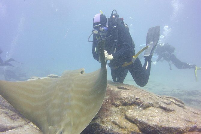 2x diving package, on request including refreshment - Authentic Experiences & Famous Dive Sites