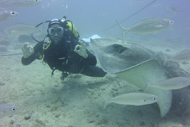2x diving package, on request including refreshment - Price Analysis & Value