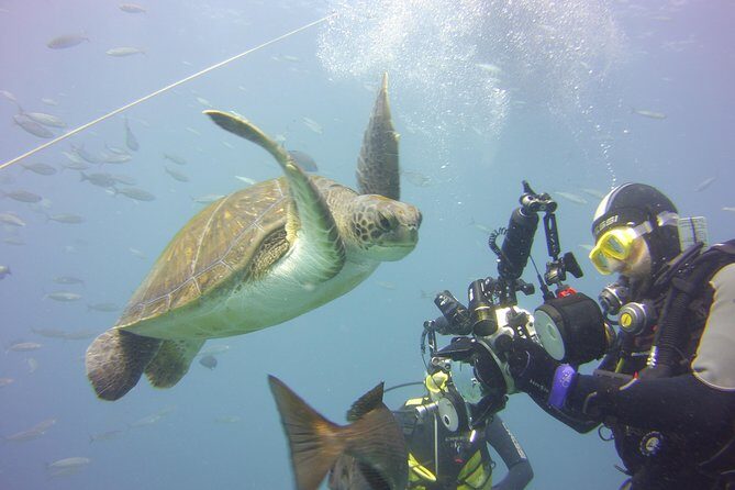 2x diving package, on request including refreshment - FAQ