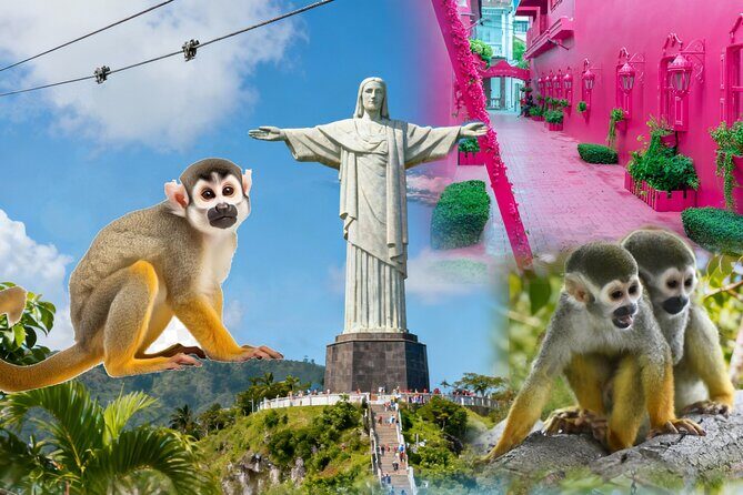 2x1: City Tour & Monkey Encounter tour combo Puerto plata - A Deep Dive into the Puerto Plata Combo Tour