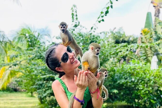 2X1: MonkeyLand plus horseback riding beach in Puerto Plata - The Drawbacks and Considerations