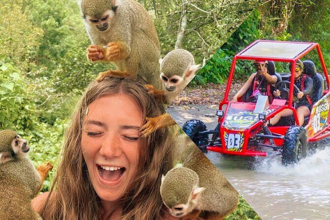 2x1: Monkeys Land Plus Drive a Dune Buggy in Puerto Plata - A Practical Review of an Adventurous Dominican Republic Experience