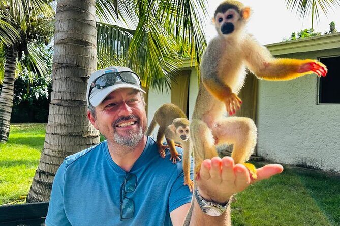 2x1: Monkeys Land Plus Drive a Dune Buggy in Puerto Plata - The Sum Up