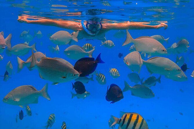 2X1: Snorkeling Tour tour plus MonkeyLand Puerto Plata - Exploring the Itinerary in Detail