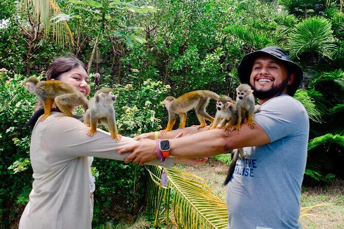 2X1: Snorkeling Tour tour plus MonkeyLand Puerto Plata - Who Should Consider This Tour?