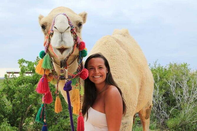 2x1 Tour: Cabo San Lucas Arch + Camels Ride + Pick up! - Who Would Enjoy This Experience?