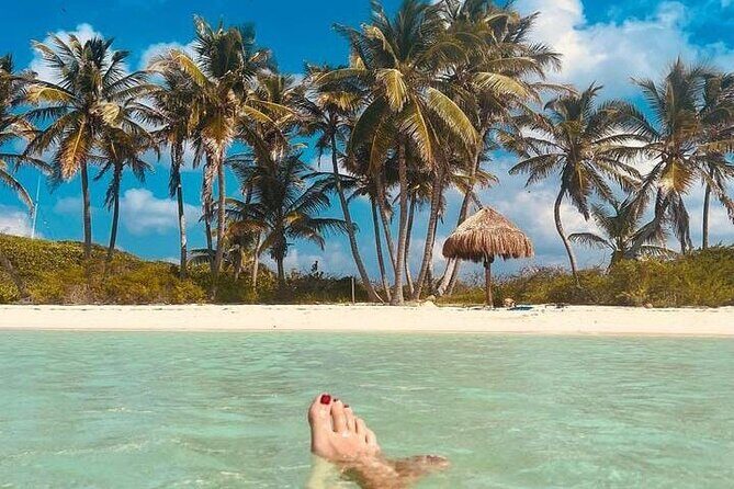 2x1 Tour: Isla Contoy, Isla Mujeres, Open Bar, Lunch and Transfers - Why This Tour Is Worth Considering