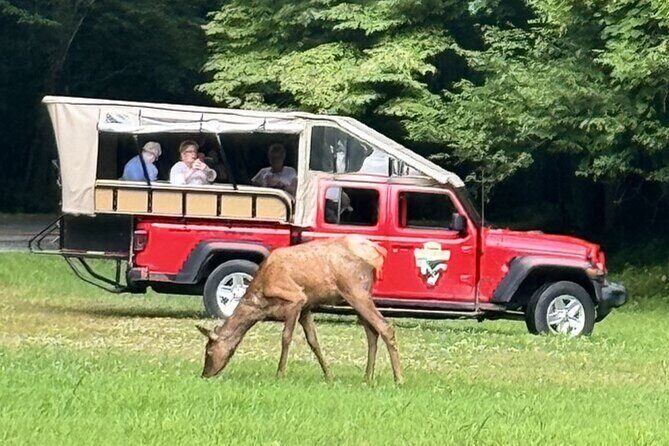 3 - 3.5 HR Smoky Mtn. Cherokee Eco Elk Safari Jeep Adventure - Setting the Scene: What You Can Expect
