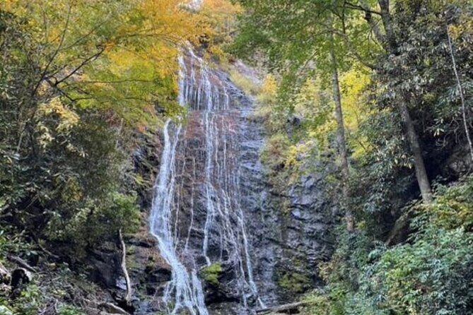 3 - 3.5 HR Smoky Mtn. Cherokee Eco Elk Safari Jeep Adventure - What’s Included and What’s Not