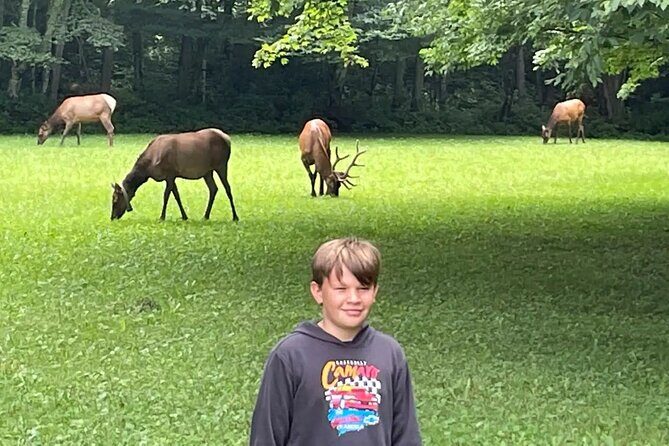 3 - 3.5 HR Smoky Mtn. Cherokee Eco Elk Safari Jeep Adventure - Why This Tour Offers Good Value