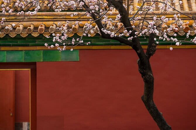 3-4 hours Private Tour to Forbidden City with Entry Tickets - Exploring the Tour Itinerary in Detail