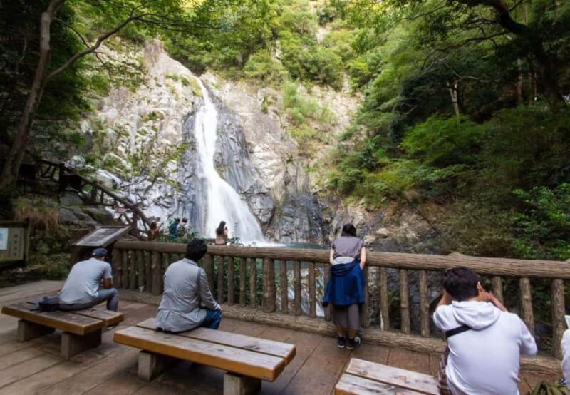 3/5/7/10 Days Private Japan Tour with English Speaking Guide - Who Will Love This Tour?