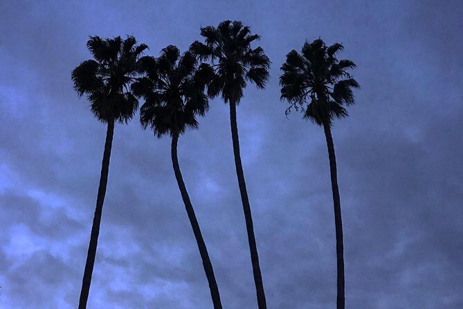 3.5 Hour Coastal Tour of Santa Monica, Venice Beach and Malibu - The Sum Up