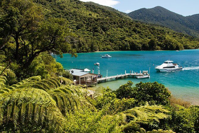 3.5 Hour Marlborough Sounds Delivery Cruise - An In-Depth Look at the Experience