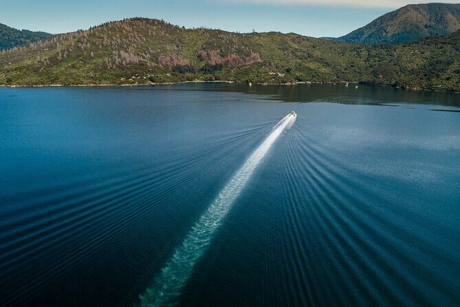 3.5 Hour Marlborough Sounds Delivery Cruise - FAQ